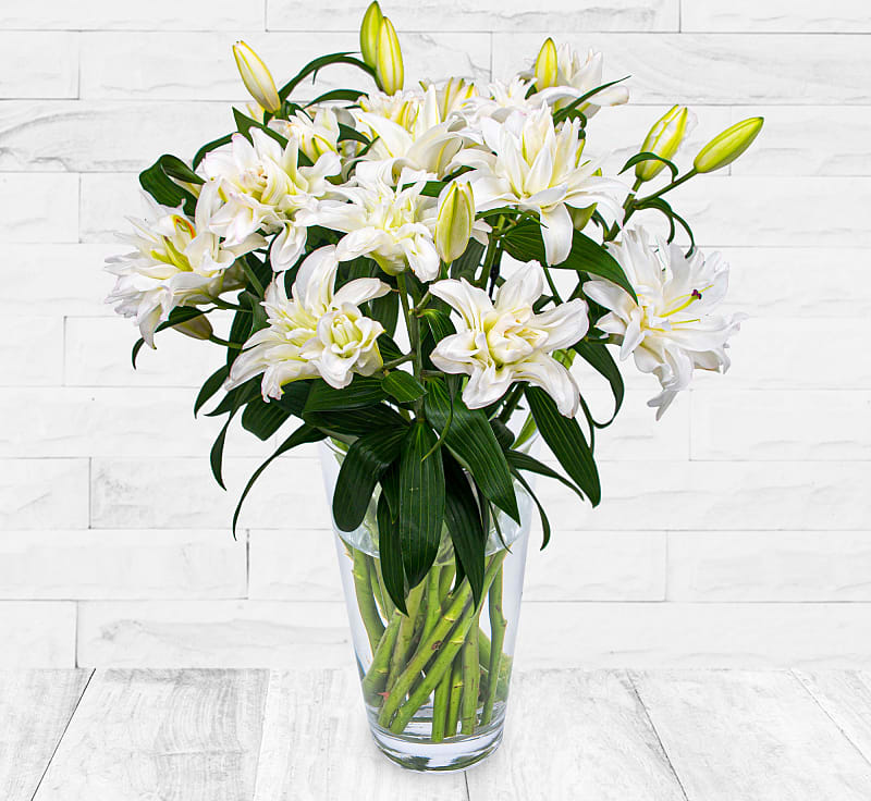 Double-Flowering Lilies