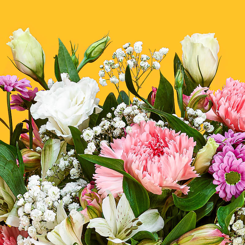 Classic Pretty & Pink