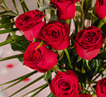 12 Red Roses | 123 Flowers