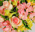 Peruvian Lily & Rose | 123 Flowers