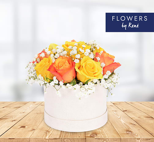 Potted Orchids by Post | Free Next Day Delivery | 123 Flowers