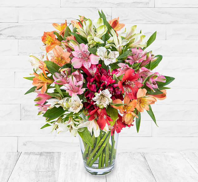 Elegant Alstro | 123 Flowers